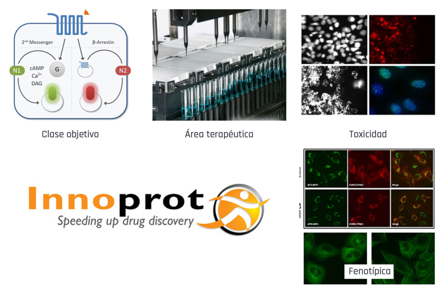 Innoprot: Tecnología innovadora para mejorar el cribado de fármacos - SPRI