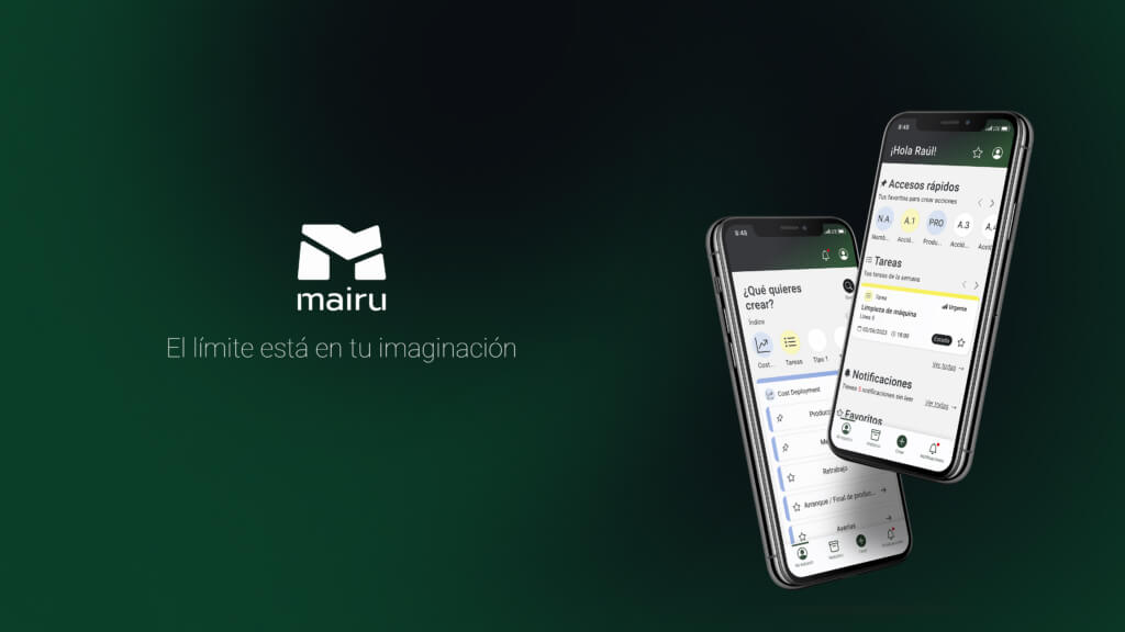 Mairu, un software personalizable para aumentar la eficiencia de las ...